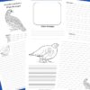 Bird of the Arctic - Willow Ptarmigan - My Teaching Library ...