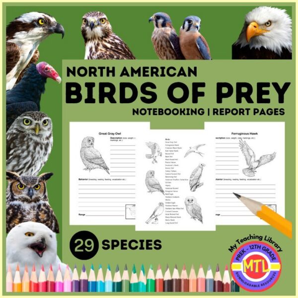 North American Birds of Prey Notebooking / Report Pages - My Teaching ...