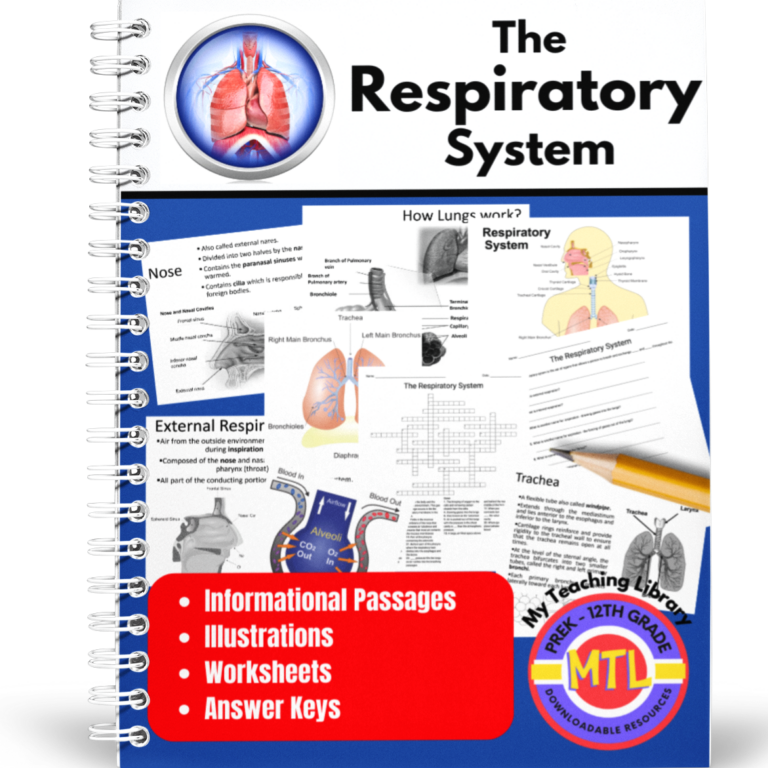 Respiratory System Unit - My Teaching Library | MyTeachingLibrary.com