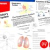 Respiratory System Unit - My Teaching Library | MyTeachingLibrary.com