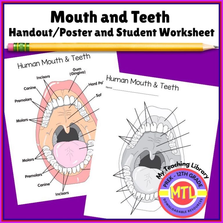 Mouth and Teeth Handout / Poster and Worksheet - My Teaching Library ...