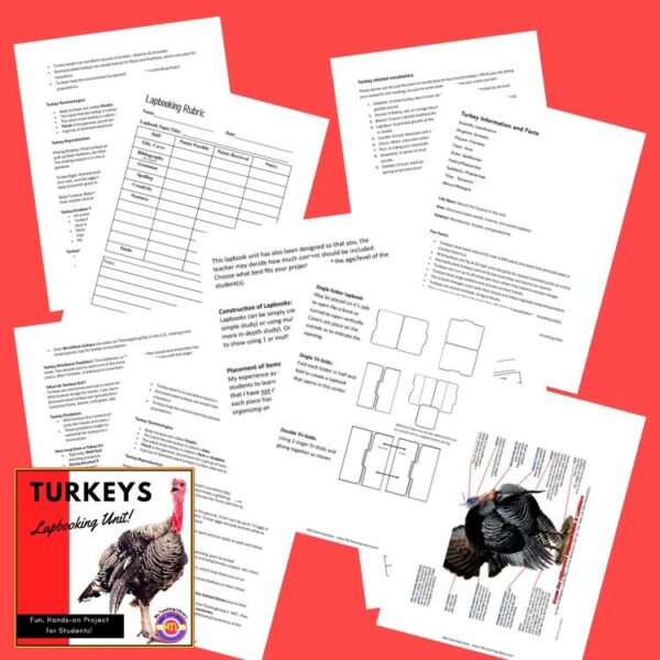 Turkey Lapbook - My Teaching Library | MyTeachingLibrary.com