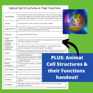Animal Cell Posters - My Teaching Library | MyTeachingLibrary.com