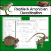 Reptile and Amphibian Classification Activities - My Teaching Library ...