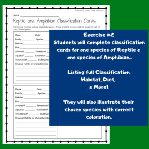 Reptile and Amphibian Classification Activities - My Teaching Library ...