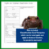 Reptile and Amphibian Classification Activities - My Teaching Library ...