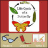 Life Cycle of a Butterfly | Science Student Created Book - My Teaching ...