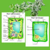 Plant Cell Posters | Simple and Complex - My Teaching Library ...
