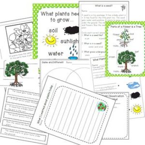 Let's Learn about Plants | Science for 1st and 2nd Grades - My Teaching ...