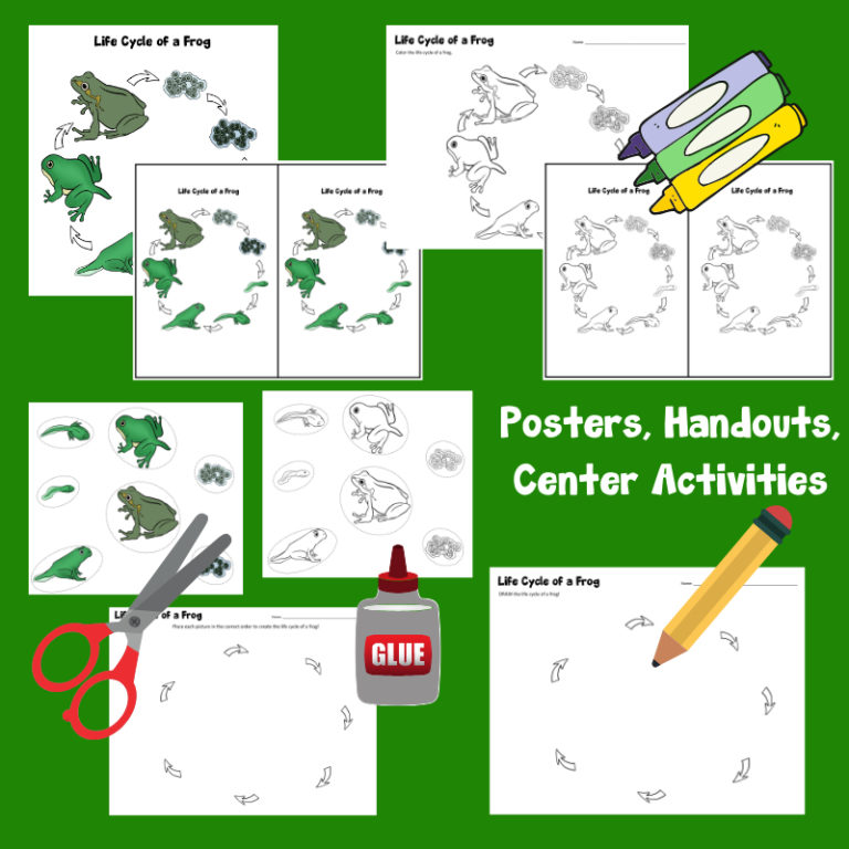 Life Cycle of a Frog | Differentiated - My Teaching Library ...