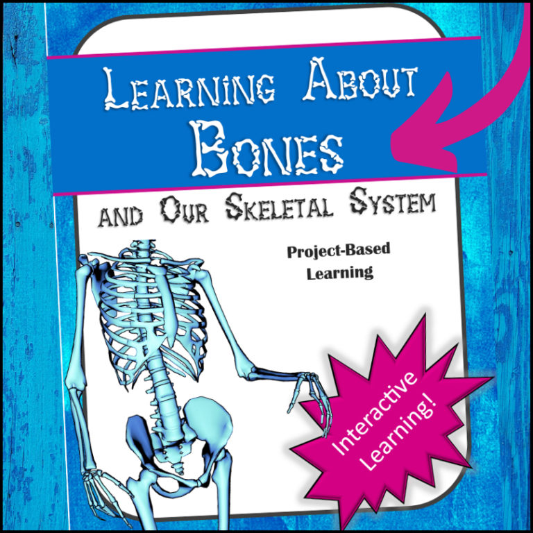 Skeletal System | Interactive Learning Project - My Teaching Library ...