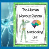 Nervous System | Interactive Project - My Teaching Library ...