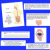 Digestive System | 2 Informational Articles | BONUS Poster - My ...