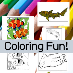 Fish Coloring Book - My Teaching Library | MyTeachingLibrary.com