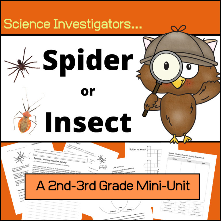 Spiders vs Insects - Science Investigator Mini-Unit - My Teaching ...