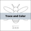 Trace and Color - Bee - My Teaching Library | MyTeachingLibrary.com