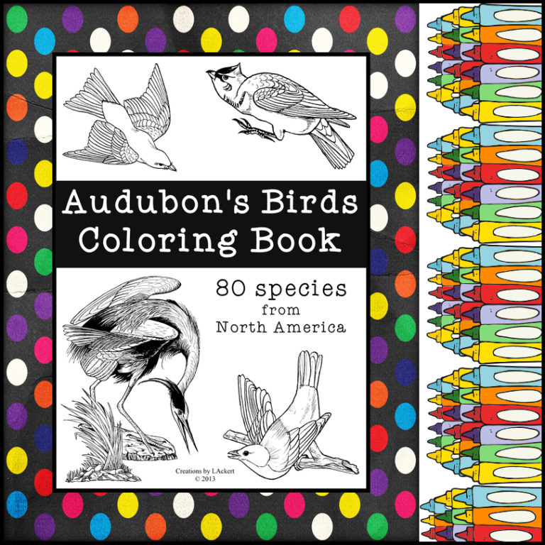 Audubon's Birds - Coloring Book (80 species) - My Teaching Library ...