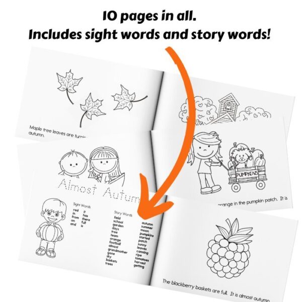 Almost Almost Autumn Mini-Book - My Teaching Library ...