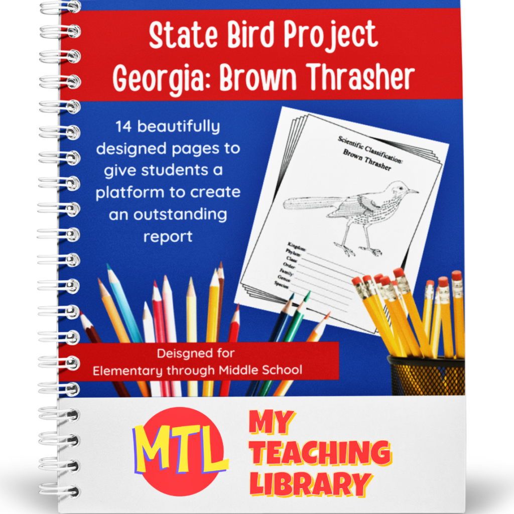 Georgia State Bird Project: Brown Thrasher - My Teaching Library ...