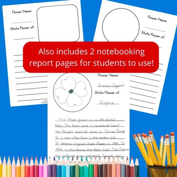 State Flowers | Coloring Book + Notebooking Pages - My Teaching Library ...