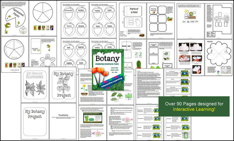 Botany - Plants | Interactive Learning - My Teaching Library ...