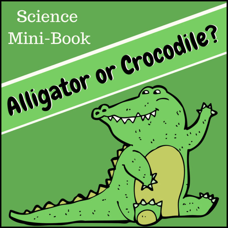 Sand Dollar | Informational Text - My Teaching Library ...