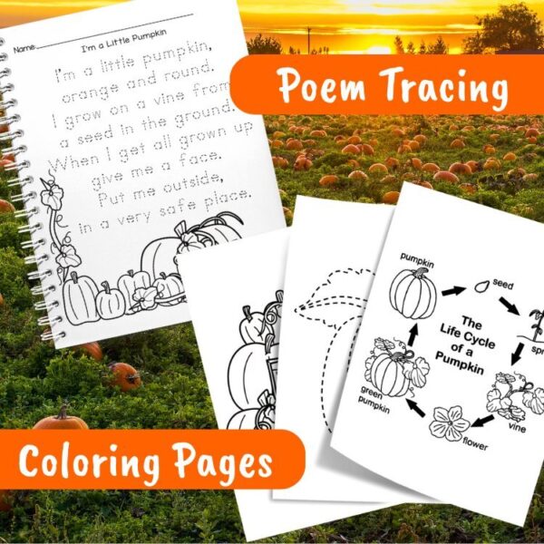 I'm a Little Pumpkin Unit - My Teaching Library | MyTeachingLibrary.com