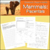 Mammals Research and Report Activity | Placentals - My Teaching Library ...