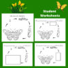Life Cycle of a Butterfly | Cross-Curricular Learning - My Teaching ...