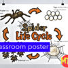 Spider Science Bundle - My Teaching Library | MyTeachingLibrary.com