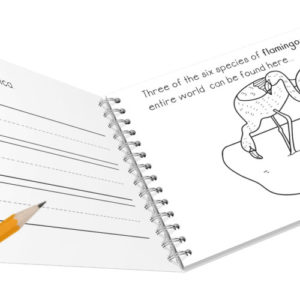 Bolivia Country Study Minibook for Early Learners - My Teaching Library ...