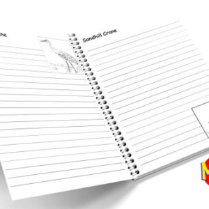 Sandhill Crane | Notebooking Pages - My Teaching Library ...