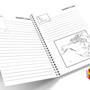 Sandhill Crane | Notebooking Pages - My Teaching Library ...