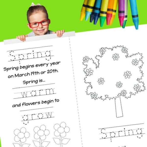 The Four Seasons | Science Mini-Book - My Teaching Library ...