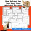 How Animals Use Their Body Parts | Notebooking Unit Study - My Teaching ...