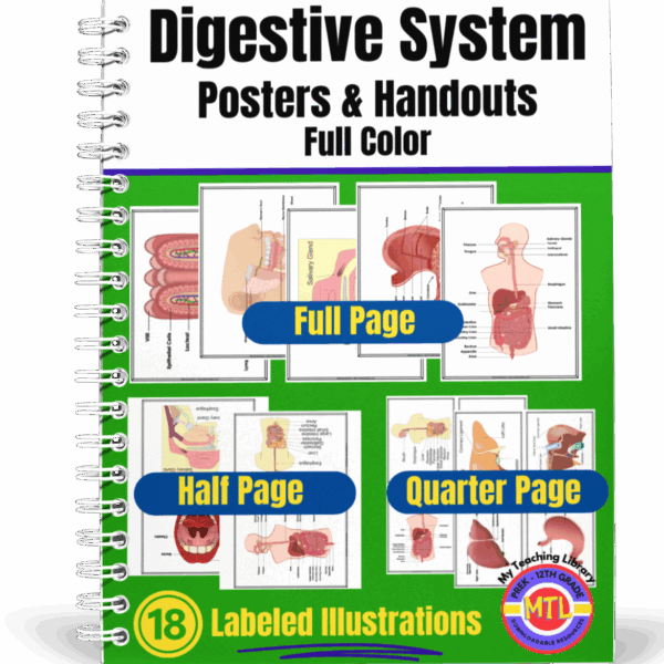 Digestive System | Posters and Handouts - My Teaching Library ...