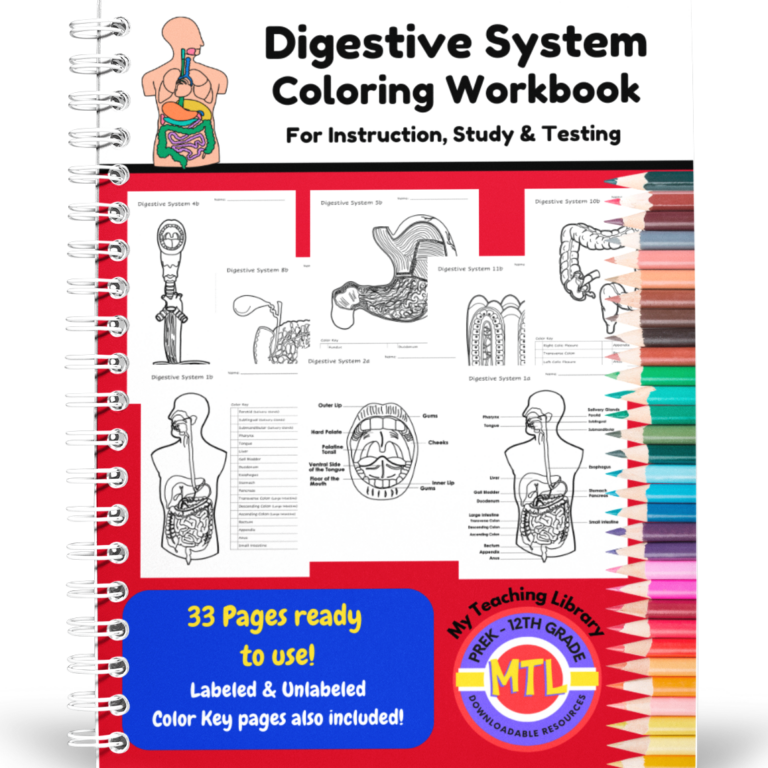 Digestive System | Coloring Workbook - My Teaching Library ...