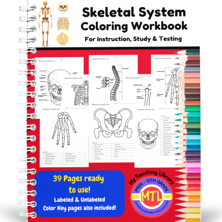 Skeletal System | Coloring Workbook - My Teaching Library ...