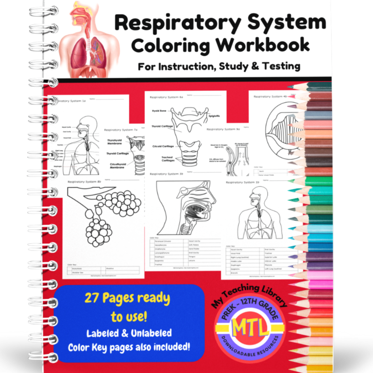 Human Anatomy Archives - My Teaching Library | MyTeachingLibrary.com