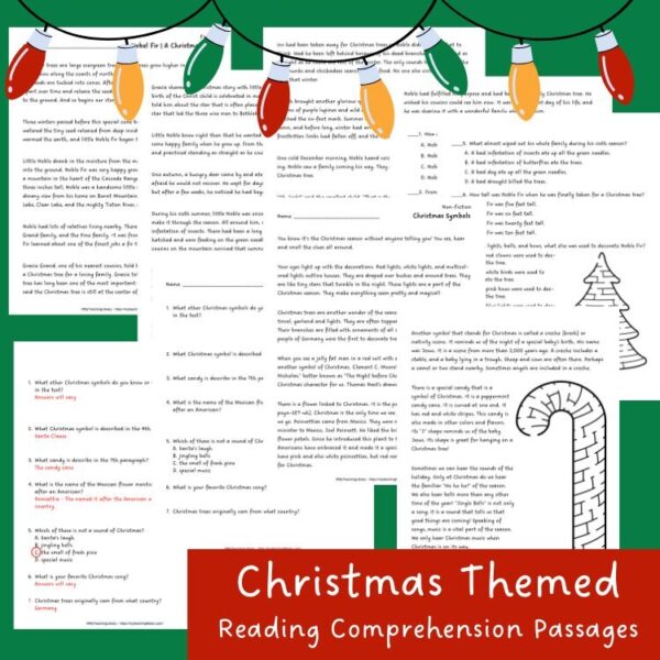 Christmas Themed Reading Comprehension | Fiction and Nonfiction - My ...