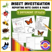 Life Cycle of a Butterfly | Cross-Curricular Learning - My Teaching ...