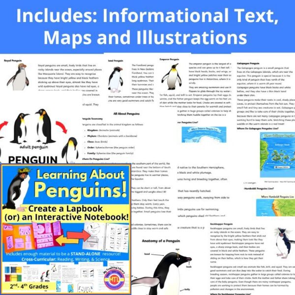Penguin Unit Study | Lapbook or Interactive Notebook - My Teaching Library | MyTeachingLibrary.com