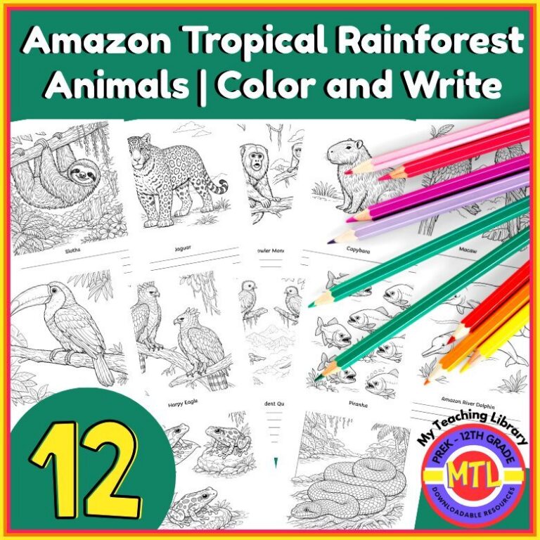 Amazon Tropical Rainforest Animals - Realistic Images | Color and Write ...